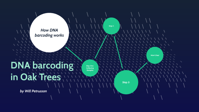 DNA barcoding in Oak Trees by Will Petrusson on Prezi