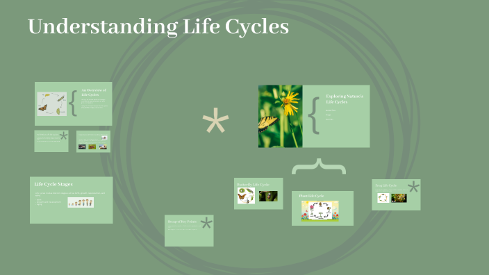 Understanding Life Cycles by Jenine Abdo on Prezi