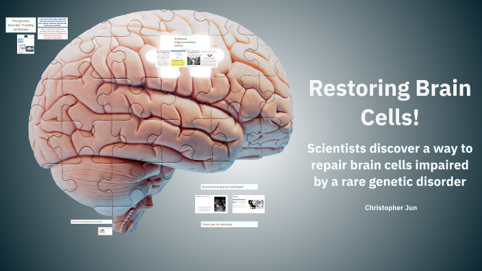 Repairing Brain Cells by Christopher jun on Prezi