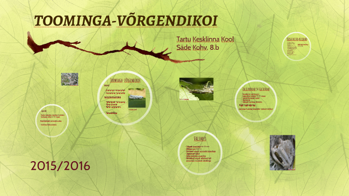 TOOMINGA VÕRGENDI KOI by Säde Kohv on Prezi