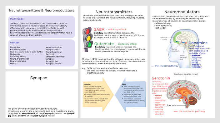 3.1.2 Neurotransmitters and neuromodulators by Dean Berger on Prezi
