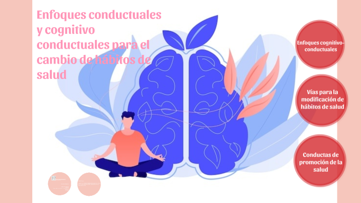 Enfoques cognitivo-conductuales para el cambio de hábitos de salud by ...