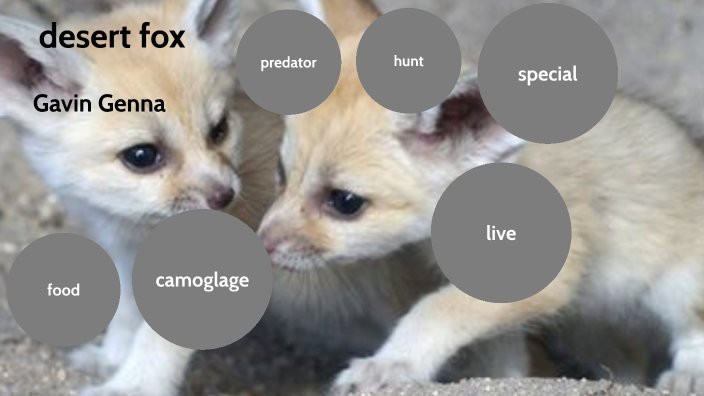 animal research by Gavin Genna on Prezi