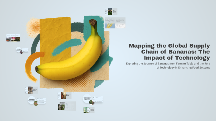 Mapping the Global Supply Chain of Bananas: The Impact of Technology by ...