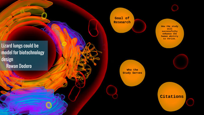 Lizard lungs could be model for biotechnology design by Rowan Dodero on ...