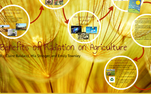 Benefits of Radiation: Agriculture by Emily Townley on Prezi