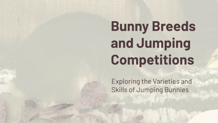 Bunny Breeds and Jumping Competitions by Ace on Prezi