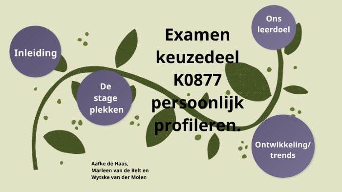 examen keuzedeel K0877 Persoonlijk profileren by Wytske Vd Molen on Prezi