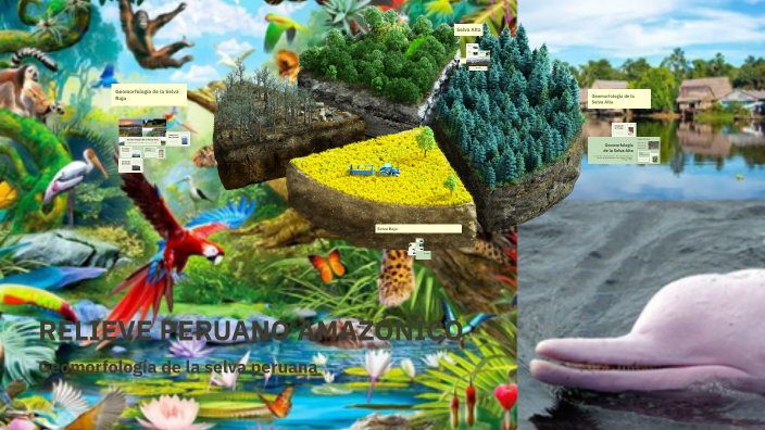 RELIEVE PERUANO AMAZÓNICO by Franklin Cabanillas Lashag on Prezi