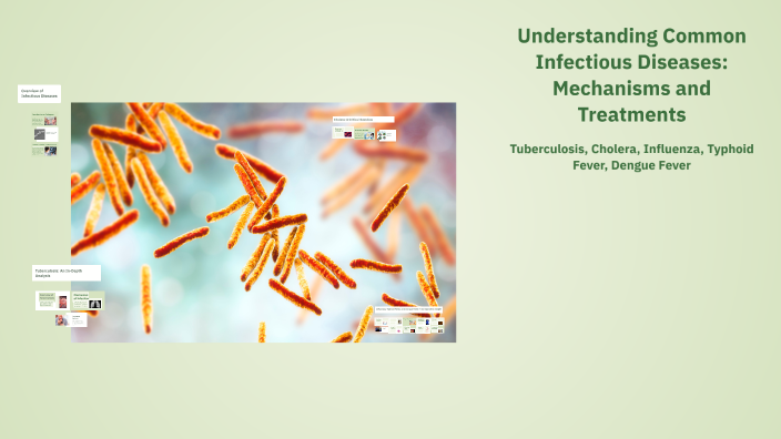 Understanding Common Infectious Diseases: Mechanisms and Treatments by Ivica Stevanoski on Prezi