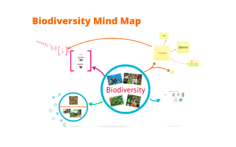 Biodiversity Concept Map by Simrat Benipal on Prezi
