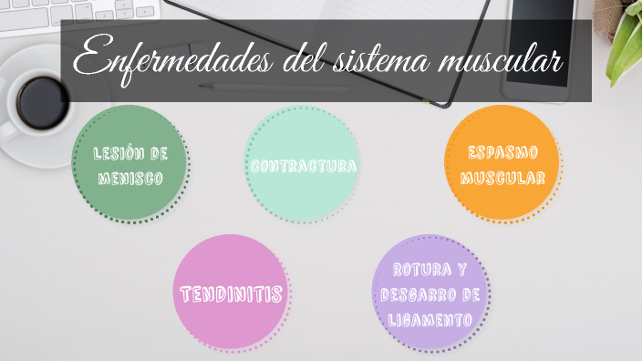 Trabajo anatomía by Andreea Filimon on Prezi