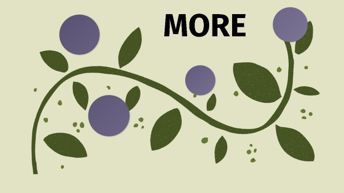 MORE by Anson Sims on Prezi