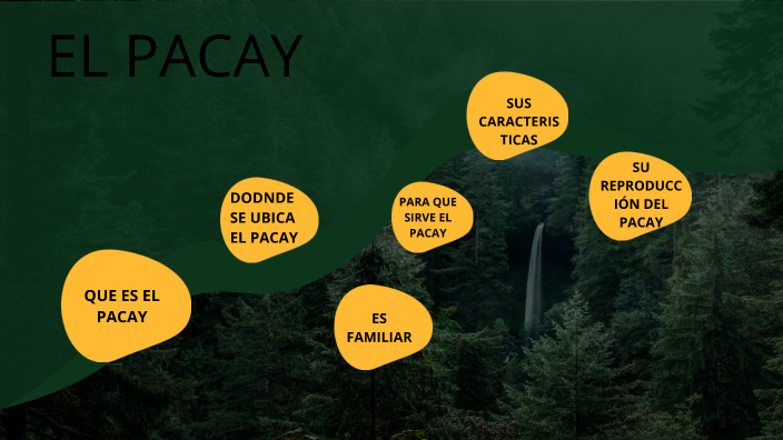 EL PACAY by jhaziel Wilfredo Simeon Perez on Prezi