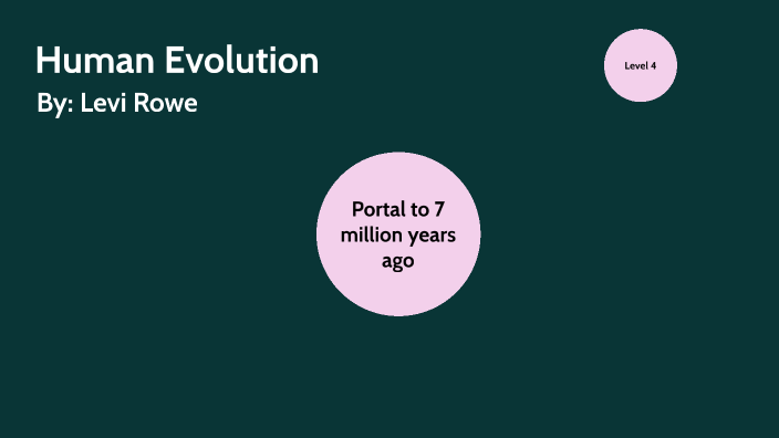 Human Evolution by Levi Rowe on Prezi