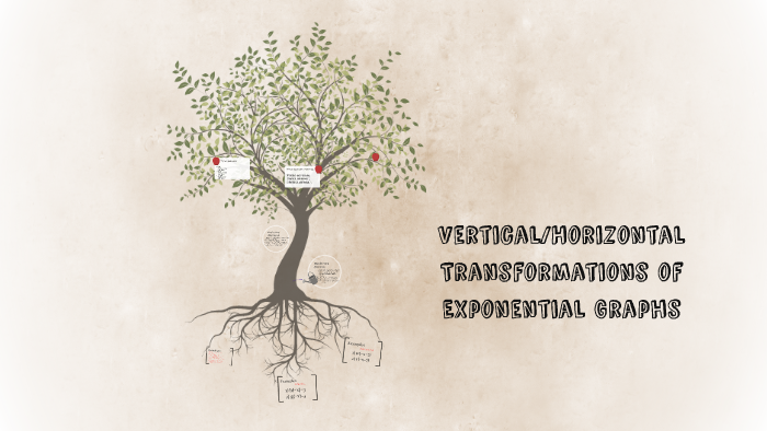 Vertical/Horizontal Transformations of Exponential Graphs by sabrina ...