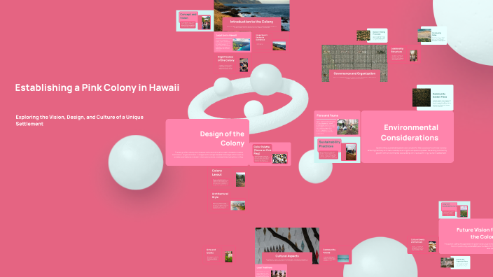 Establishing a Pink Colony in Hawaii by gtava003@somerset.colegia.org ...