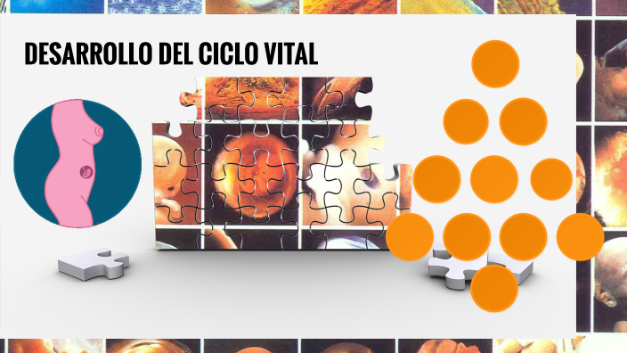 #1_desarrollodelciclovital_prezi@ by Norma Portillo on Prezi