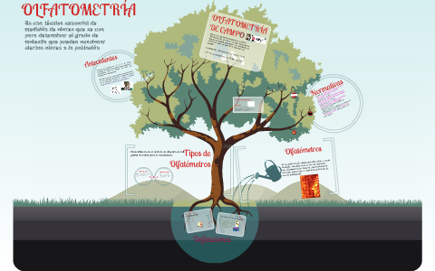 Olfatometría by Daniela Quintero on Prezi