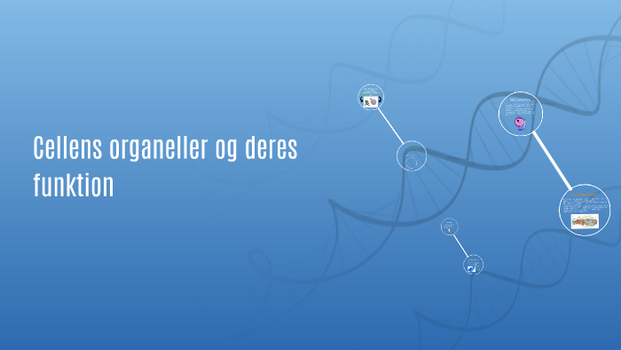 Cellens organeller og deres funktion by Emmelie Elsass on Prezi