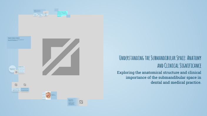 Understanding the Submandibular Space: Anatomy and Clinical ...