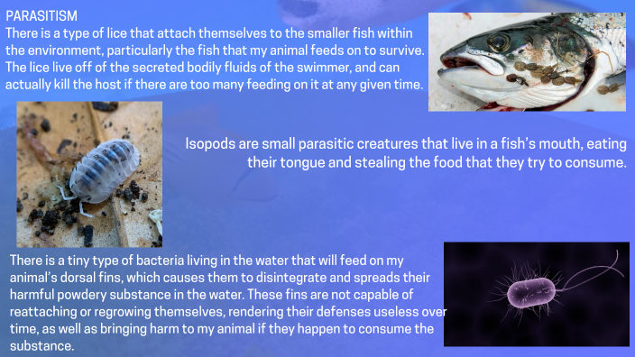 Acria - Create an animal by Yumiko Banh on Prezi