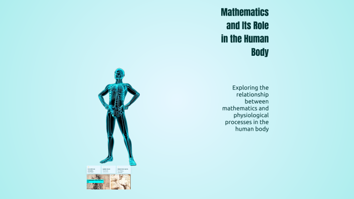 Mathematics and Its Role in the Human Body by Aleyna on Prezi