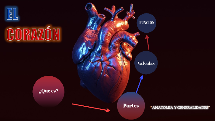 EL CORAZÓN by Kevin Landaverde on Prezi