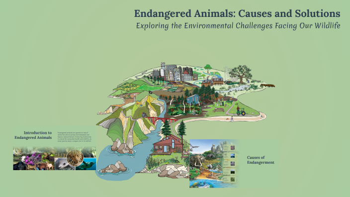 Endangered Animals: Causes and Solutions by teo cernak on Prezi