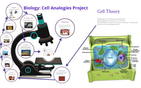 The three parts to the cell theory are as described below: by nathan ...