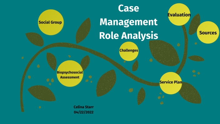 Case Management Role Analysis by Celina Starr on Prezi