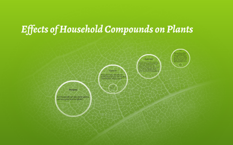 Effects of Household Compounds on Plants by Averi Hobbs on Prezi