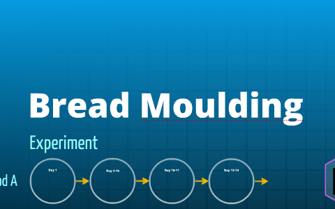 Bread Moulding by 1E2 Group 7 on Prezi