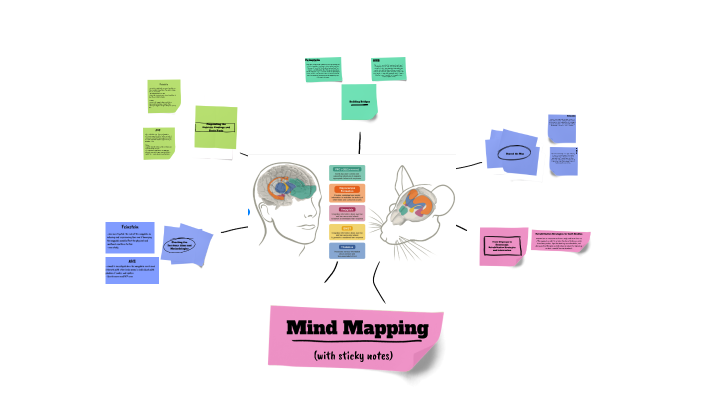 Cracking the Brain's Code by Jordan Sheehan on Prezi