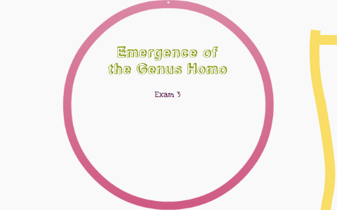 Emergence of the Genus Homo by Emily Bennett on Prezi