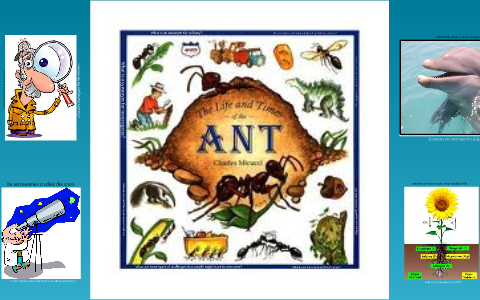 U6W5 The Life and Times of the Ant by Tanji Coats on Prezi