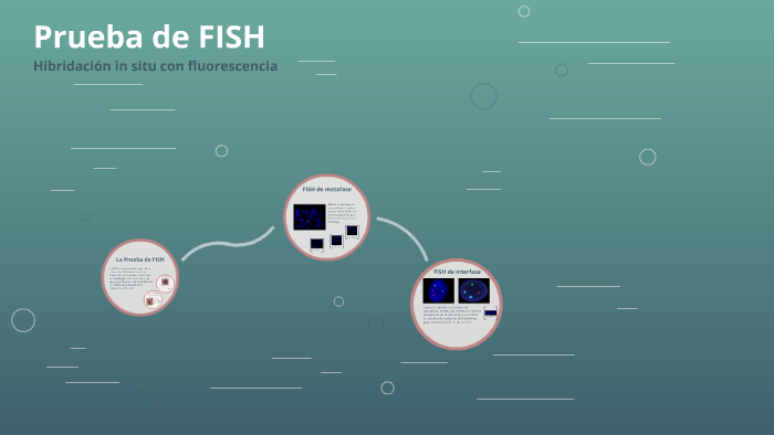 Prueba de FISH by Carlos Herrera on Prezi