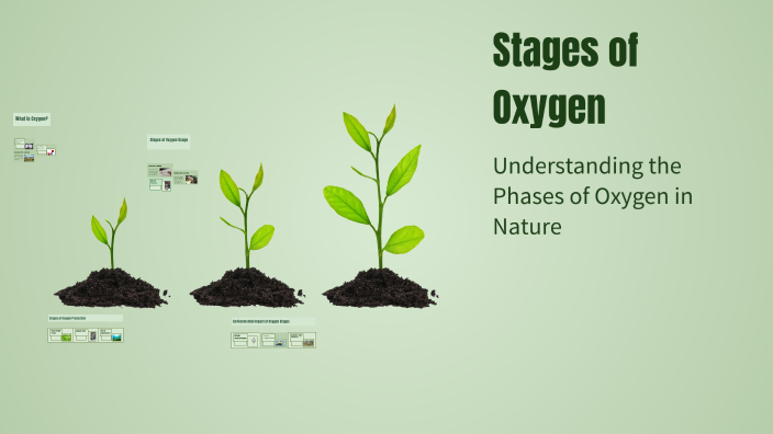 Stages of Oxygen by Cordell Clemens on Prezi