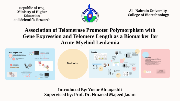 Association of telomerase promoter polymorphism with gene expression ...