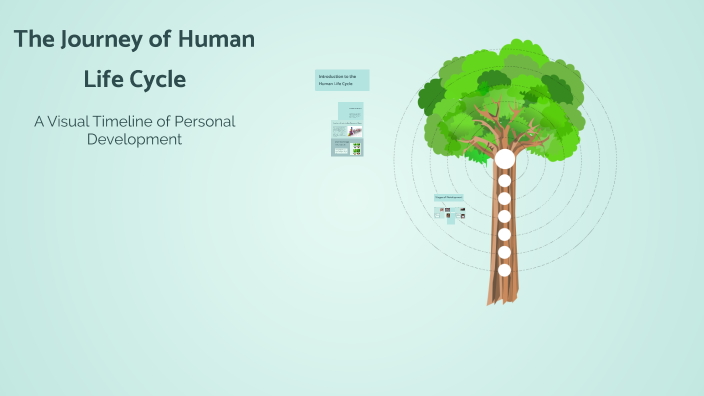 The Journey of Human Life Cycle by Nathan Pennington on Prezi