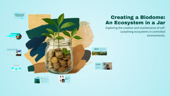 Creating a Biodome: An Ecosystem in a Jar by Y8B Hafsa Mohamed Rafi on ...