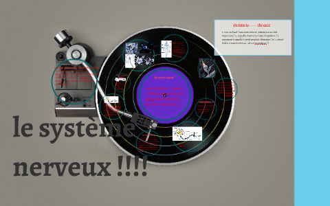 le système nerveux by classe 6e année on Prezi