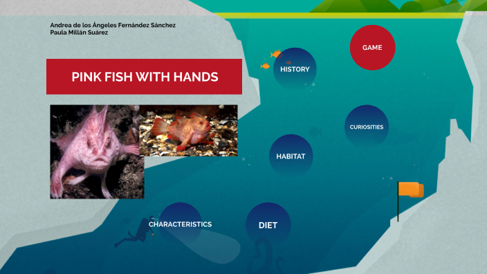 PEZ ROSADO CON MANOS by Andrea Fdez Schez on Prezi
