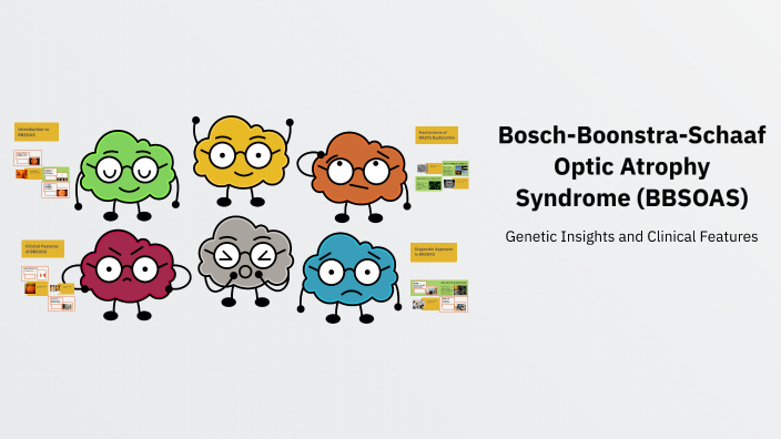 Bosch-Boonstra-Schaaf Optic Atrophy Syndrome (BBSOAS) by Martina ...
