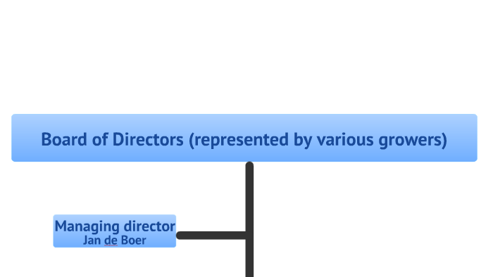 Organisational structure Decorum by Willem Koene on Prezi