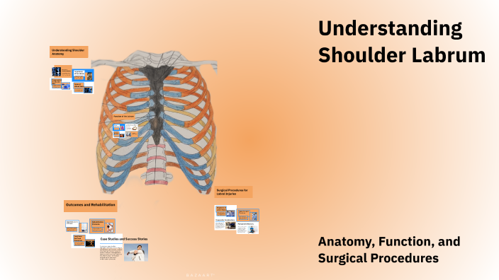 Understanding Shoulder Labrum by Jayden Moore on Prezi