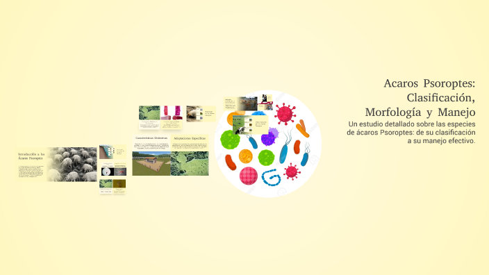 Acaros Psoroptes: Clasificación, Morfología y Manejo by jorge lugo on Prezi