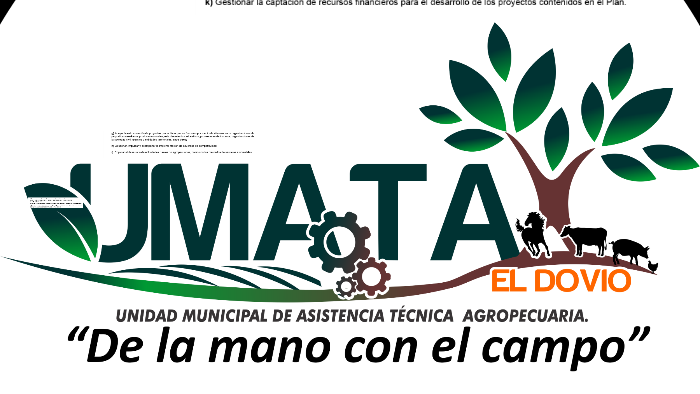 ¿ QUÉ ES LA UMATA? by david balcarcel on Prezi