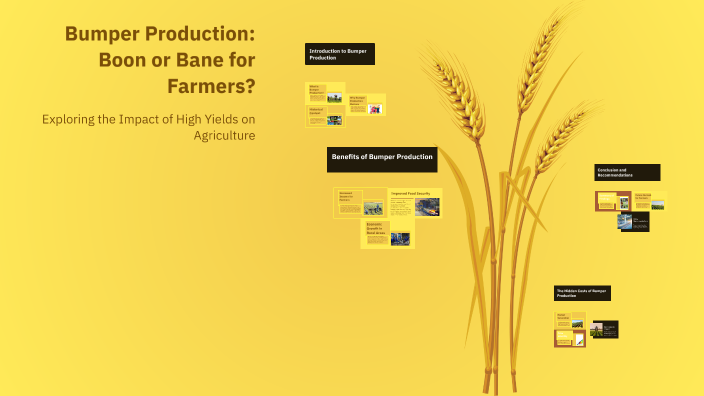 Bumper Production: Boon or Bane for Farmers? by bahid anv on Prezi