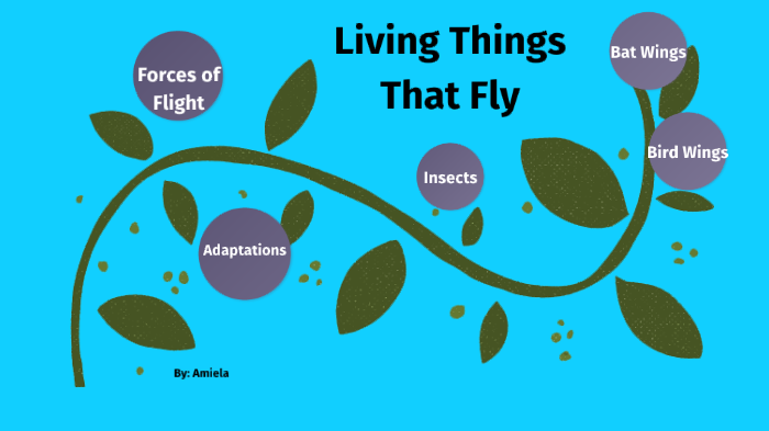 living things that fly by Amiela Allen on Prezi